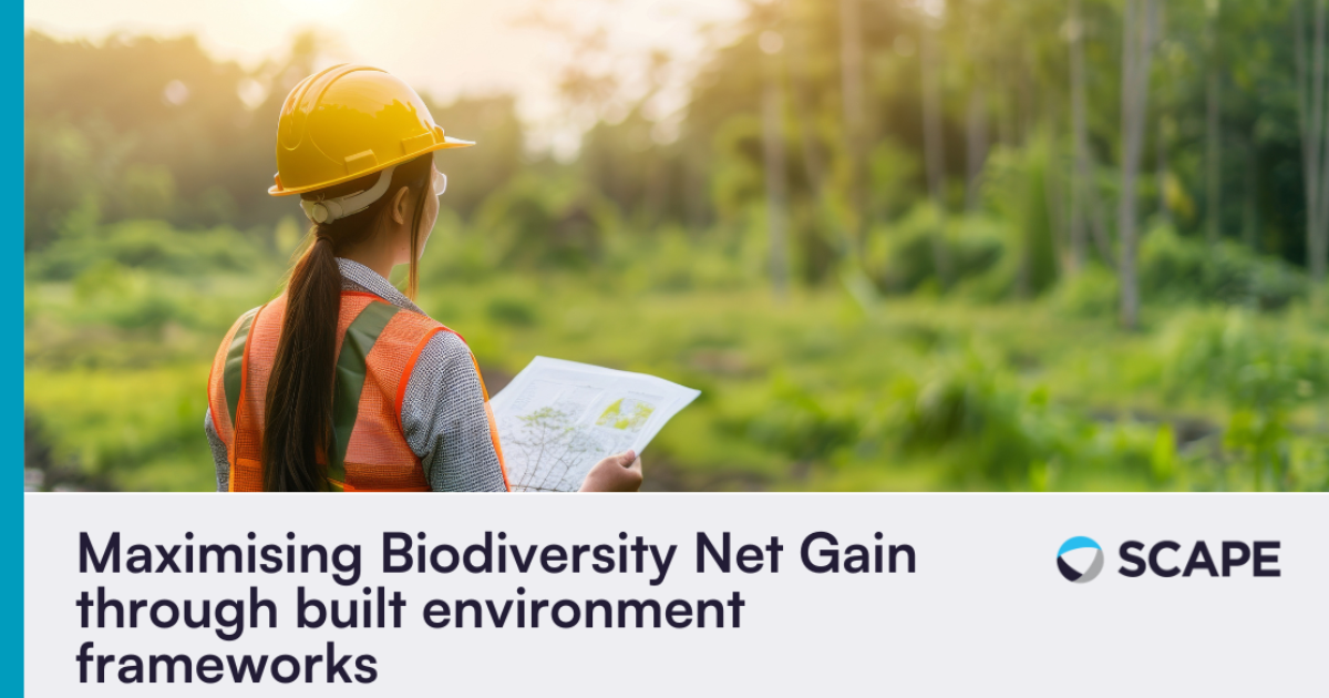 Maximising Biodiversity Net Gain through built environment… | SCAPE