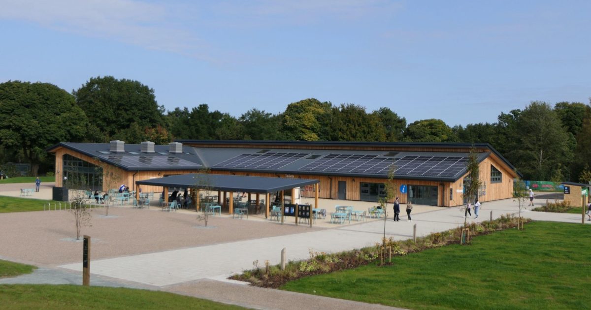 Delamere Forest | SCAPE