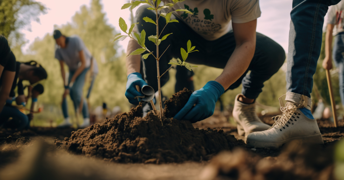 SCAPE | Our legacy programmes