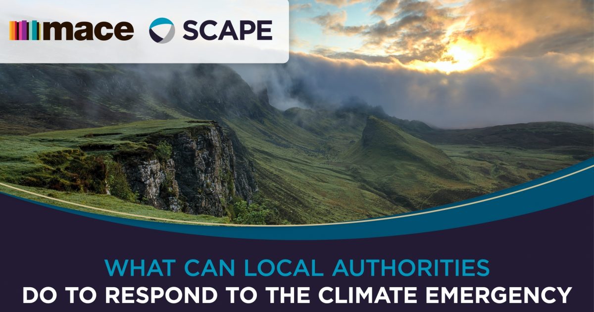 What can local authorities do in 2021 to respond to the… | SCAPE