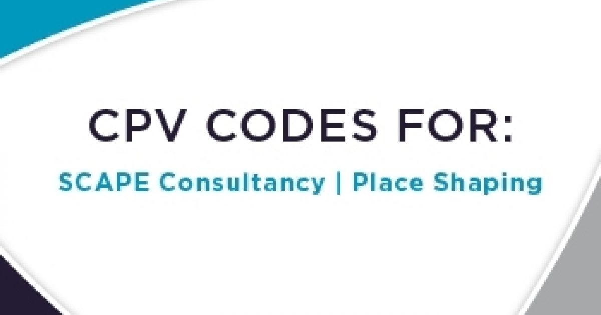 Consultancy CPV Codes | SCAPE